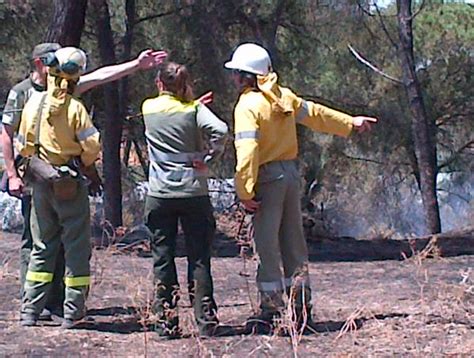 Controlado El Incendio En Un Paraje De Pinares