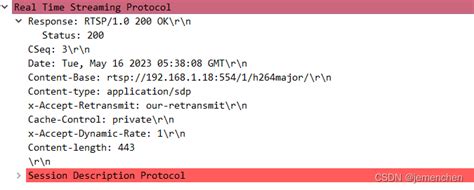 rtsp rtp on tcp 协议抓包记录 csdn博客