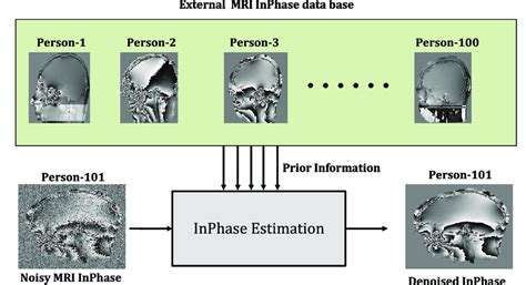 Illustration Of Class Specific Inphase Estimation Download Scientific Diagram