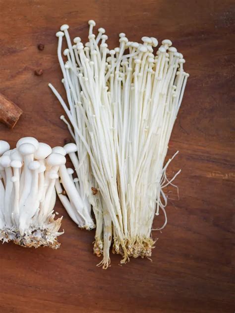 Resep Jamur Enoki Lezat Dan Mudah Dibuat Feeds