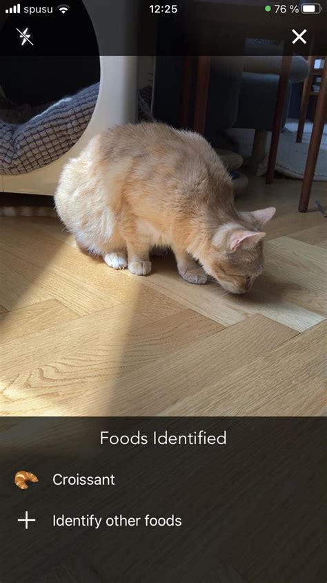 Its Official Shes A Croissant R Cico