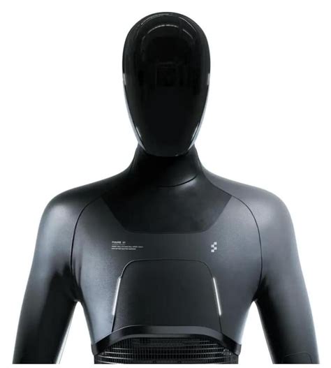 The Race For A Humanoid General Purpose Robot Is Next