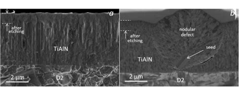 Fracture Cross Sectional SEM Image A And SEM Image Of FIB Download Scientific Diagram