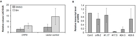 Cytokinin Response Factor 9 Represses Cytokinin Responses In Flower
