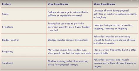 Is It Stress Incontinence Or Urge Incontinence Postpartum Bladder