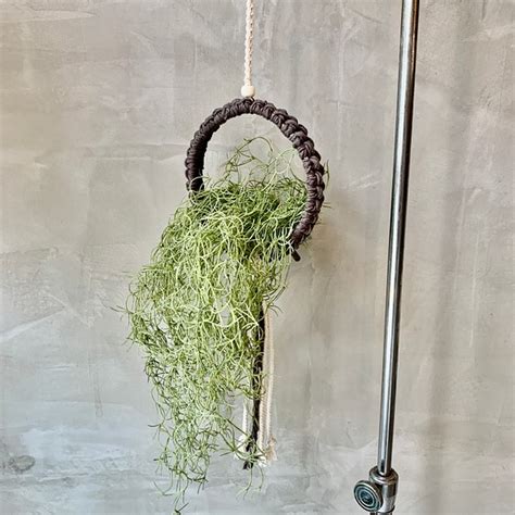 Air Plants Holder Gy エアー プランツ ホルダー 一輪挿し・花瓶・花器 Crope 通販｜creemaクリーマ