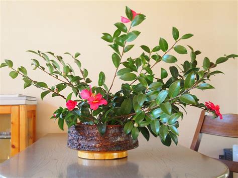 残り紅葉と山茶花 ｻｻﾞﾝｶ 12052011