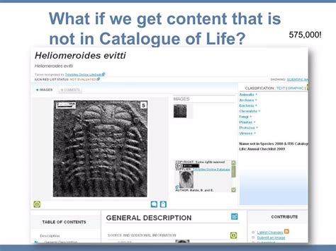 Classifications In Eol Ppt