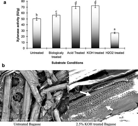 E Effect Of Different Pretreatments Of Substrate On Xylanase Production