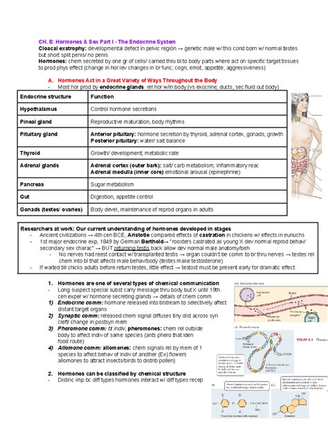 Neuro 102 Ch 8 Hormones And Sex Part I The Endocrine Systen Ch 8