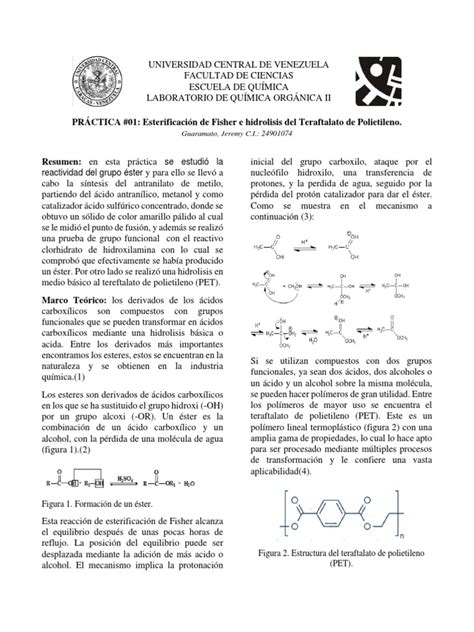 Informe Esterificacion De Fischer Pdf Ester Ácido Carboxílico
