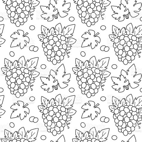 포도 다발이 있는 매끄러운 라인 패턴 과일이 있는 등고선 벡터 그림입니다 포도와 나뭇잎의 열매가 있는 흑백 배경 0명에 대한 스톡 벡터 아트 및 기타 이미지 Istock