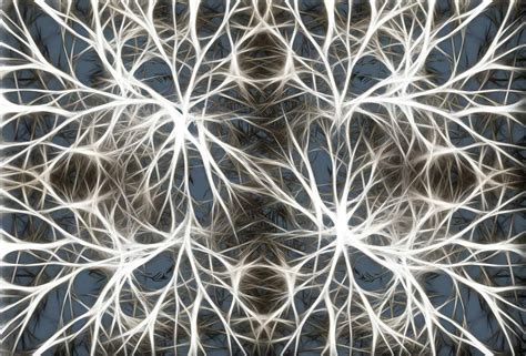 complex neural networks made easy by chainer o reilly