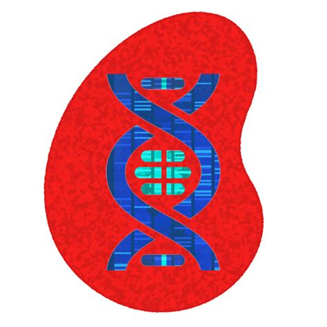 What Is Gitelman Syndrome Gitelman Syndrome Online Patient Resource
