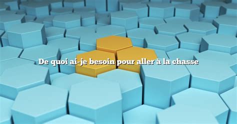 De Quoi Ai Je Besoin Pour Aller à La Chasse Diffusonslascience