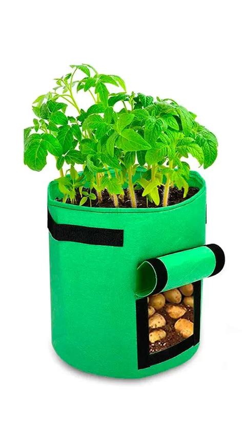 ᐉ Мішок для вирощування овочів Bass Polska Bh 79900 • Краща ціна в Києві Україні • Купити в