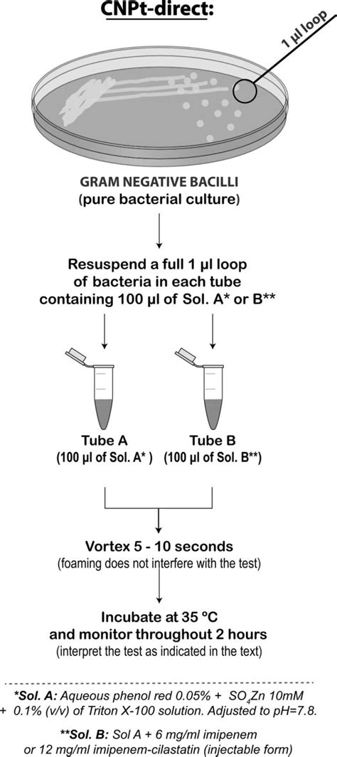 Carba Np Test Cnpt Principle Procedure Results Microbe Online