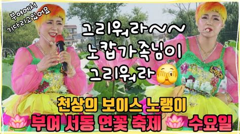 노랭이 탑공연팀 부여 연꽃축제 힘을내요 슈퍼파워 수요일 Youtube