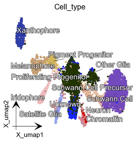 Preprocessing Tutorial Dynamo Release