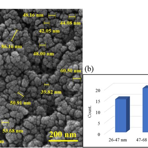 Hemolysis Percentage Graph Of Cs Sf Hydrogel Pva Fe3o4 And Triton X 100 Download Scientific