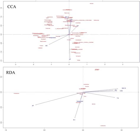 Cca And Rda Analysis Plot The Arrow Length Represents The Strength Of