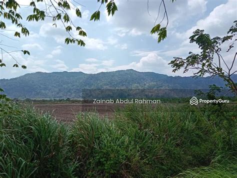 Tanah Kebun Untuk Dijual Titi Tinggi Perlis International Lot Padang