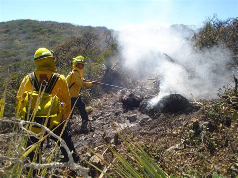 Día Internacional Del Combatiente De Incendios Forestales Secretaría