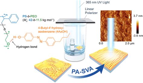Photoinduced Alignment Under Solvent Vapor Annealing Pa Sva Enhanced Ordering And Patterning