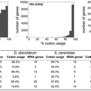 Codon Usage In D Discoideum A Relative Usage Of Codons That Are Download Scientific Diagram