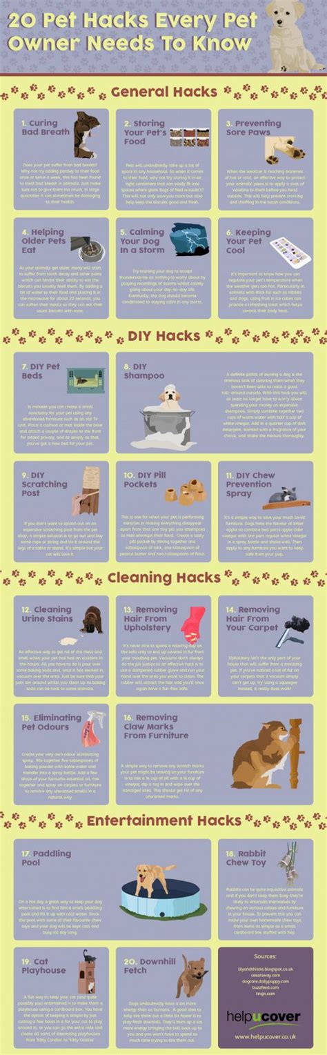 20 Pet Hacks Every Pet Owner Should Know Loveyourpet Artofit