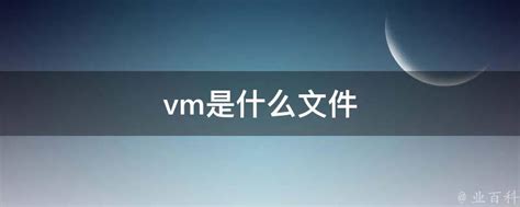 vm是什么文件 业百科
