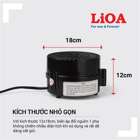 Biến Áp Đổi Nguồn Hạ Áp 1000va Dn010 Lioa 1 Pha Ổn Áp Lioa Nhật Linh