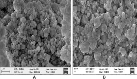 A B Sem Micrographic Image Of Synthesized Agnps Download Scientific