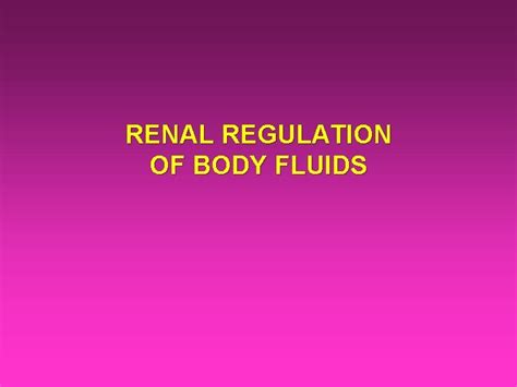 Renal Regulation Of Body Fluids Water Diuresis By
