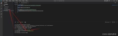 Vs Code配置golang语言开发环境vscode 配置golang开发环境 Csdn博客