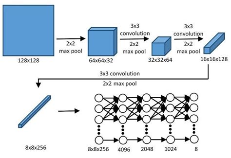 Shows The Architecture Of The Inceptionv3 Model The Transfer Layer Of