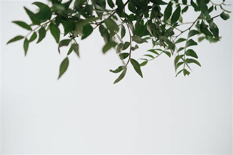 Cute Minimalist Aesthetic PC Wallpapers Wallpaper Cave