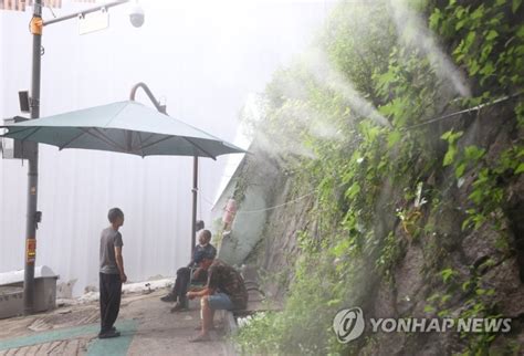 경북 영천서 70대女 또 폭염에 숨져올해에만 환자 1191명 파이낸셜뉴스