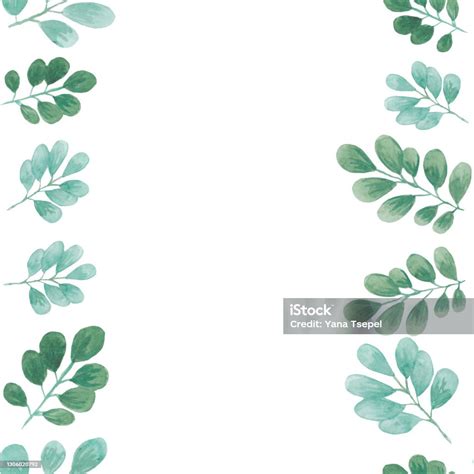 Illustration Daquarelle Cadre De Fond Des Feuilles Deucalyptus Couleur