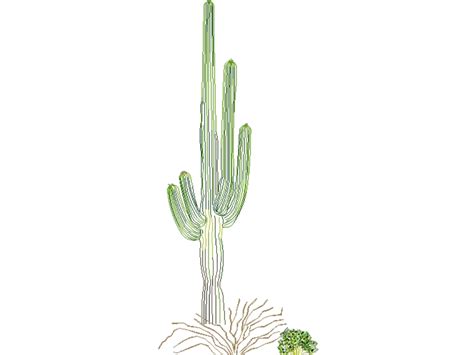 Cactus In Autocad Cad Download 63 23 Kb Bibliocad