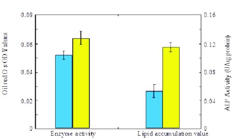 Quantitative Analysis Results Of Cell Directional Differentiation Download Scientific