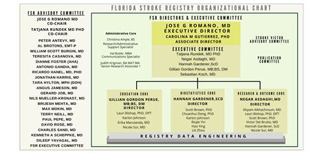 Our Timeline And People Florida Stroke Collaboration