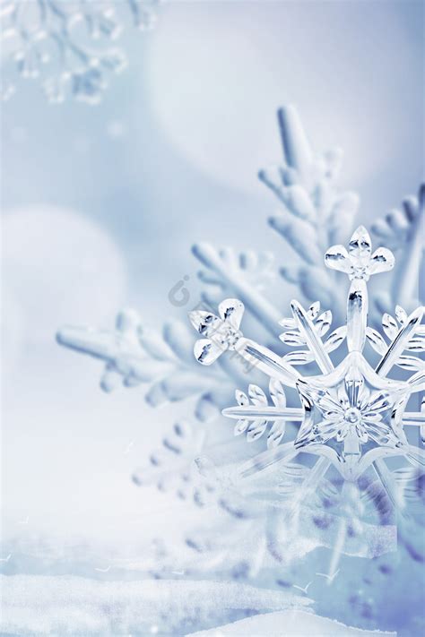 立冬雪花雪景冰晶节气模板 包图网