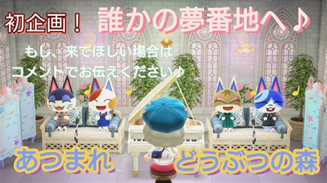 【あつ森】15、昨日に引き続き！夢見訪問企画！第2弾やっていきます！配信 【あつまれ どうぶつの森】300日以上毎日連続配信！！ Youtube