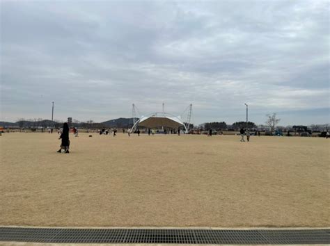 시흥 갯골생태공원 주말 가족 휴식터로 좋은 장소 여기도 봄이 오겠지 네이버 블로그