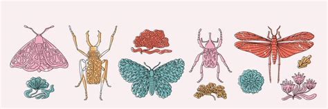 Cute Insects Cartoon Bug And Butterfly Mascots Vector Image