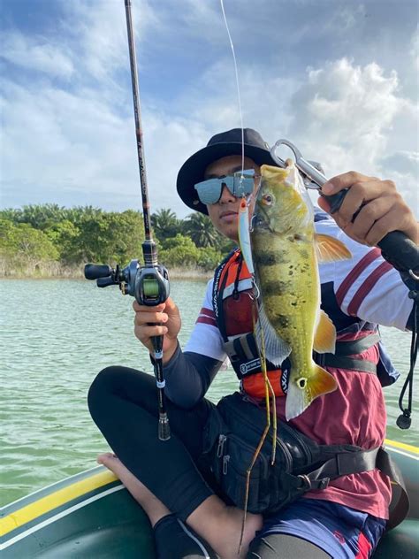 Peacock Bass Nest Discovered Invasive Species Here Rfishing