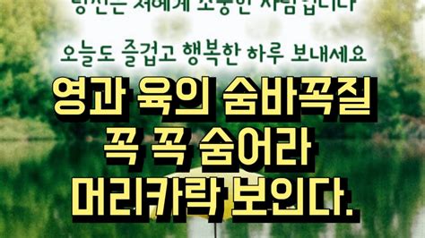 교육학 박사 이교수 육신과 영혼의 숨바꼭질 영적인것과 육적인것의 관계성 눈에 보이지 않는 것은 사람을 속이기가