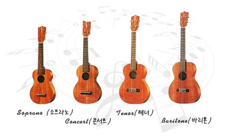 [우쿨렐레 Ukulele] 우쿨렐레 종류 우쿨렐레 크기 우쿨렐레 유래 네이버 블로그