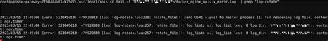 bug log rotate max kept doesn t work · issue 9061 · apache apisix